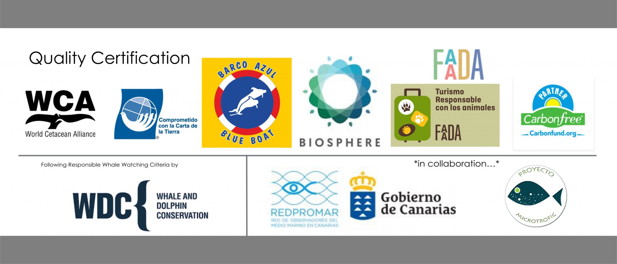 Home - Whale Wise Eco Tour