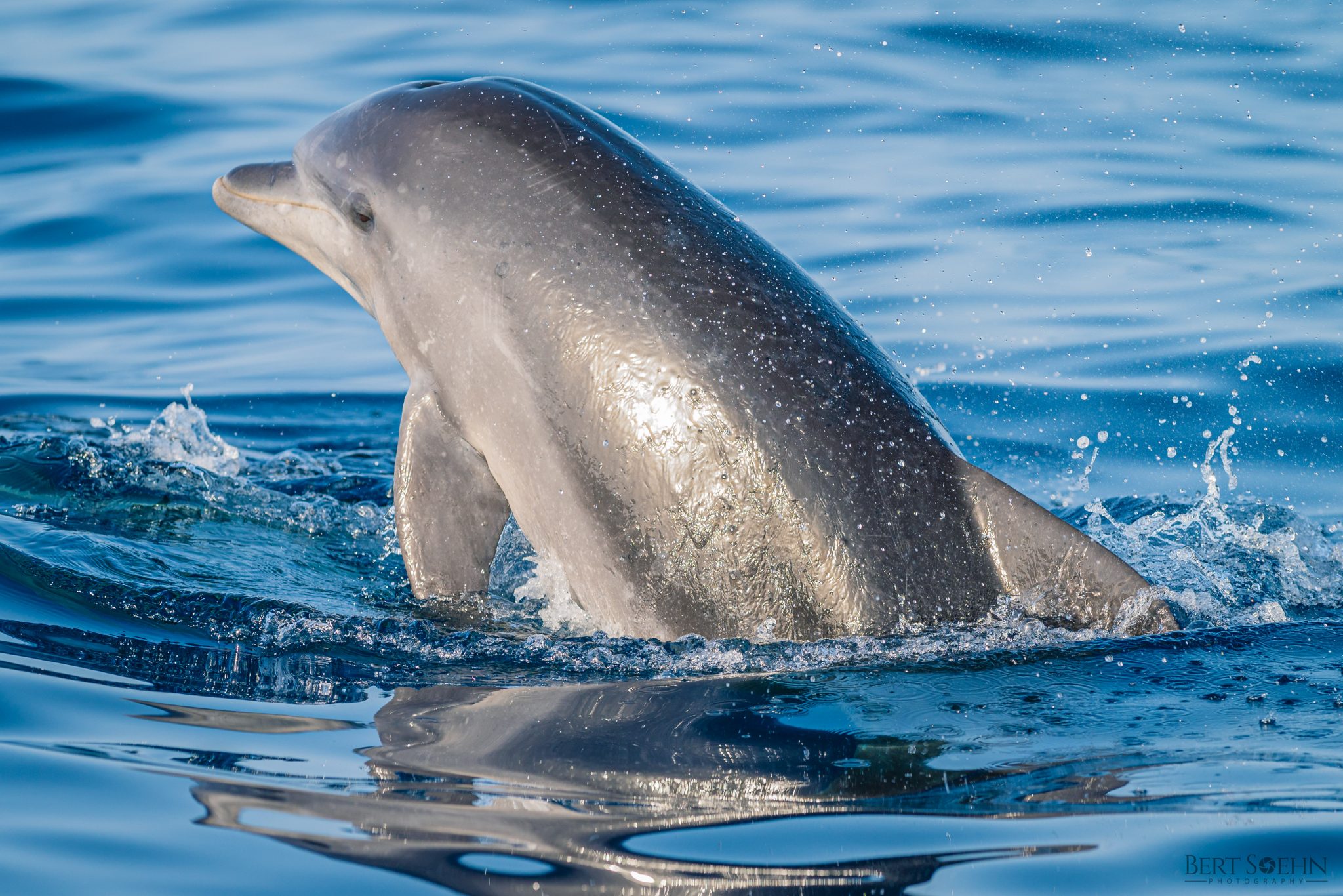 Gallery - Whale Wise Eco Tour